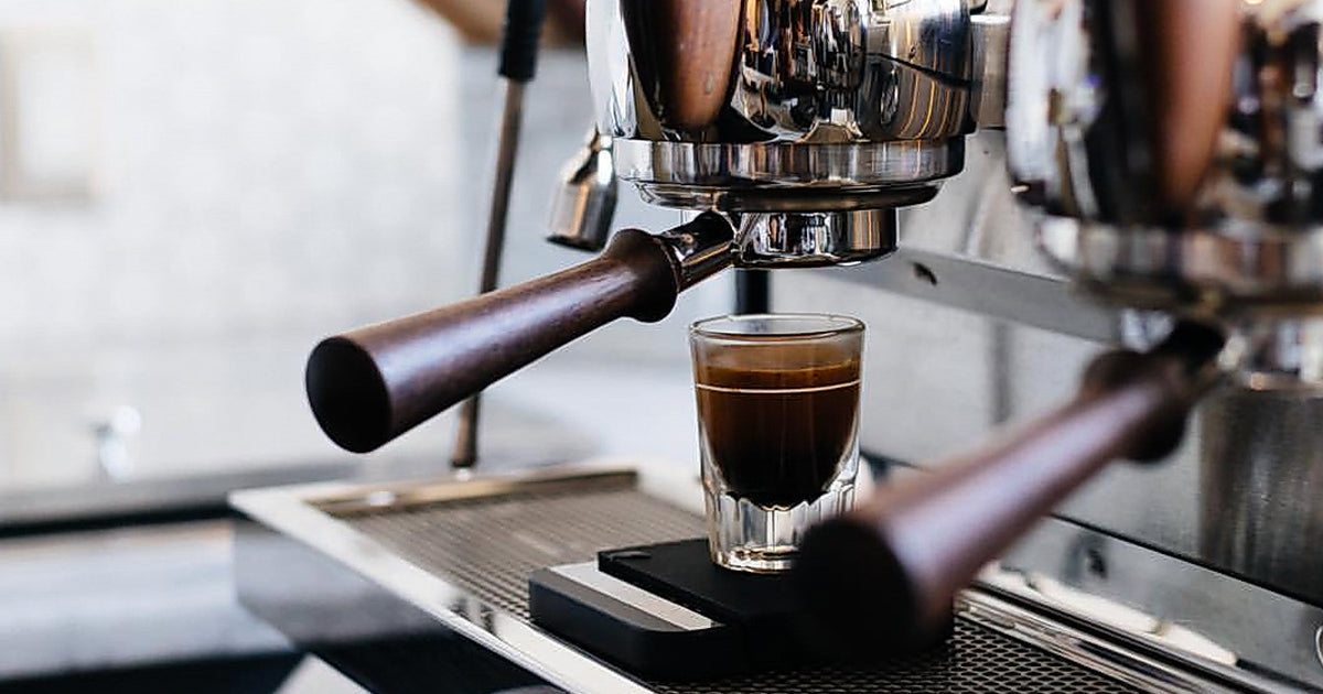 Barista Basics